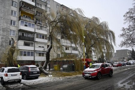 Kalamita na Slovensku, 11. decembra 2022